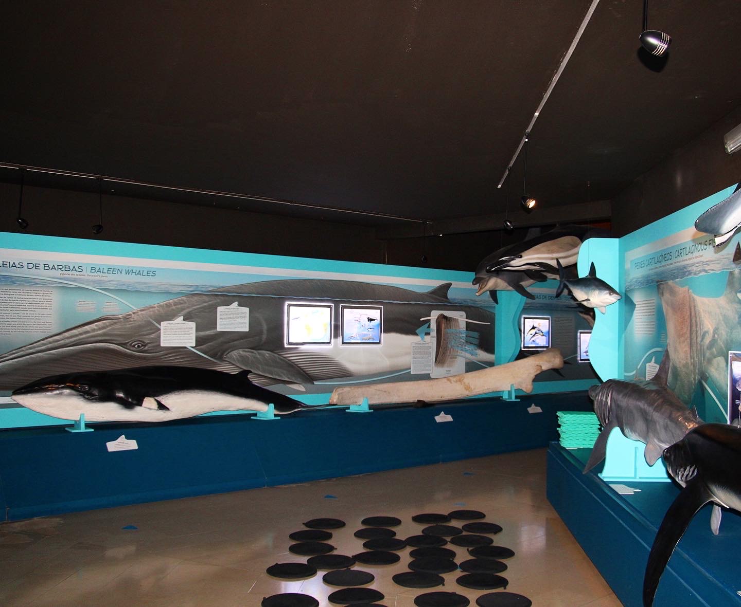 Visita das AAAF ao Museu do Mar Rei D. Carlos – União das Freguesias de ...